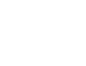 Parlamentarische Kontrolle - IParl
